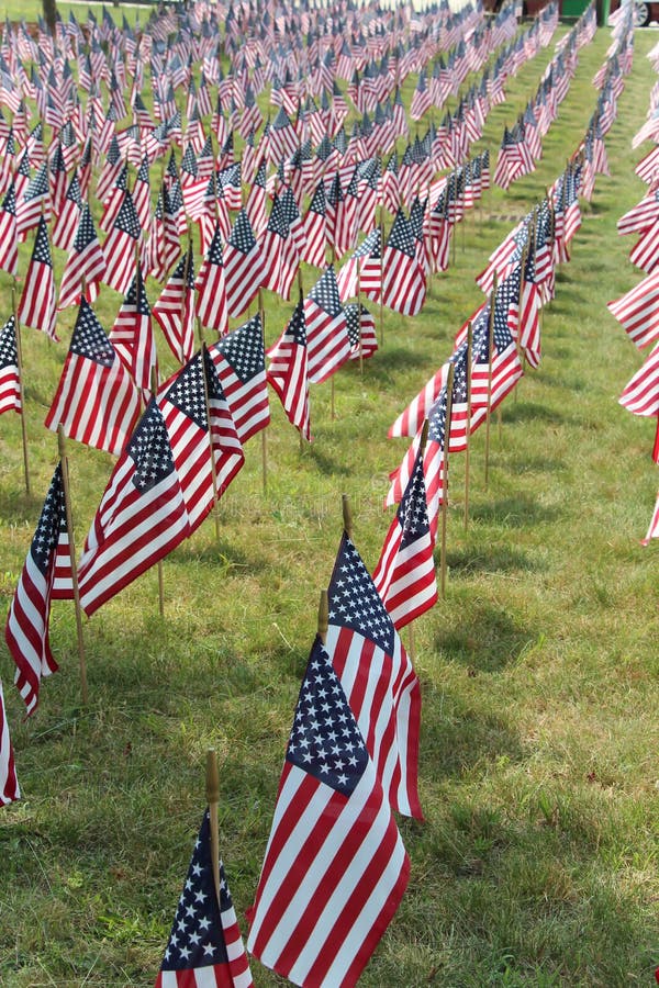 American flags stock photo. Image of patriotism, government - 85201862