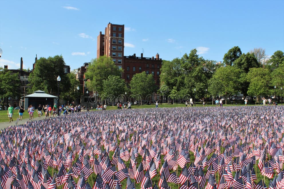 American Flags editorial photo. Image of memorial, landscape - 58746781