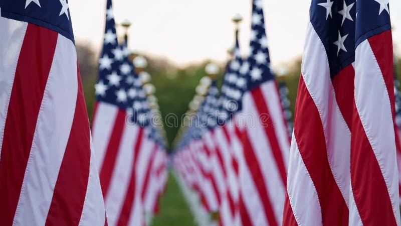American Flags Waving Gently in a Field, Honoring Veterans Stock Video ...