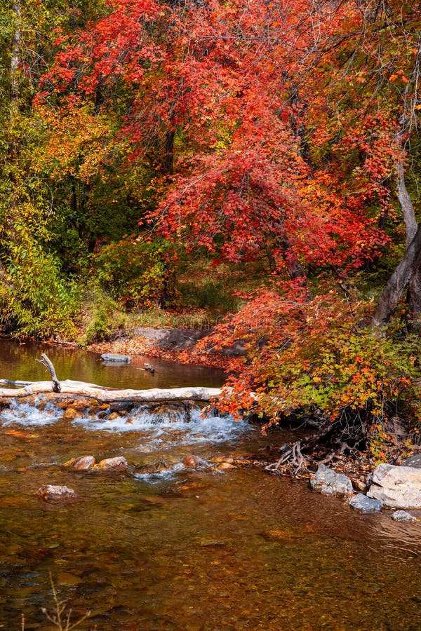 American Fork River Surrounded with Fall Foliage at American Fork ...