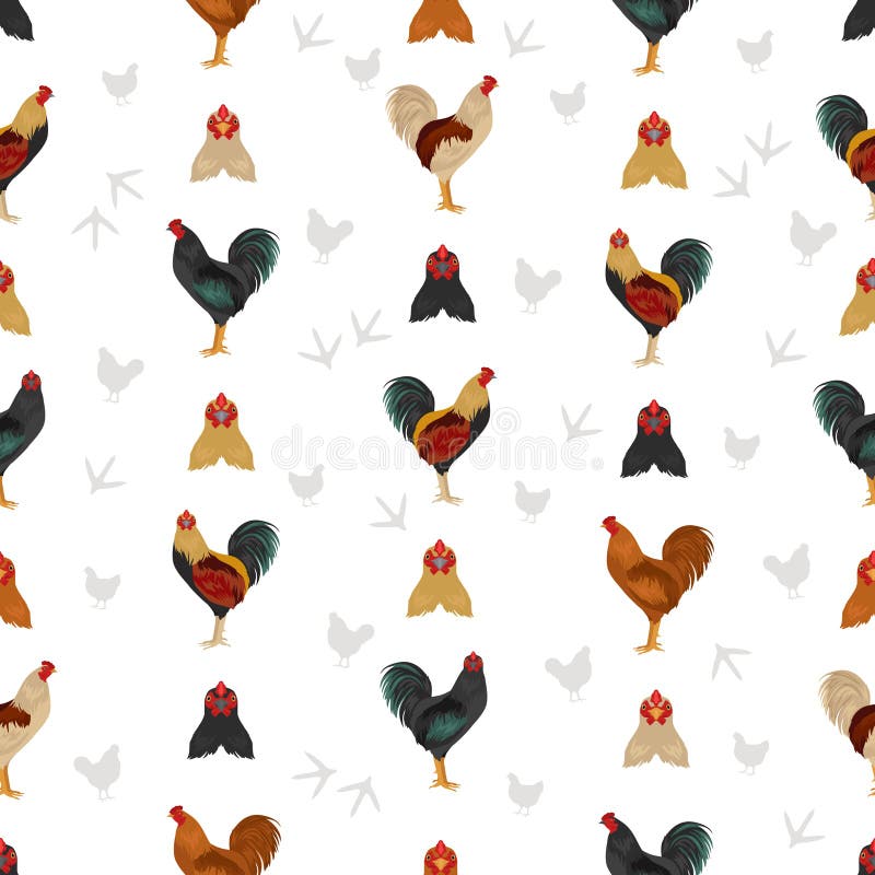 American Game Chicken Breeds Seamless Pattern. Poultry and Farm Animals ...