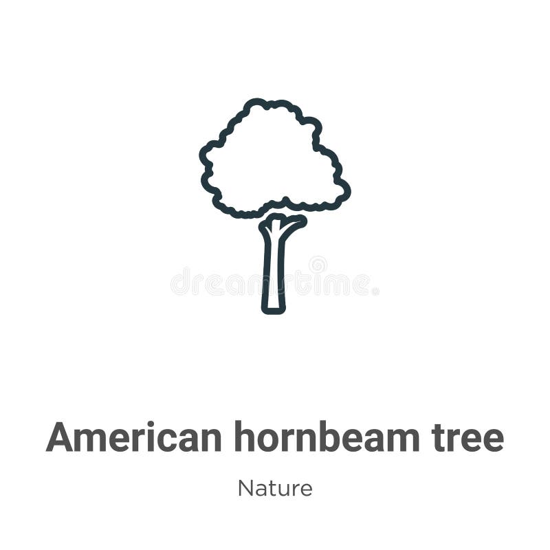 American Elm Tree Outline Vector Icon. Thin Line Black American Elm ...