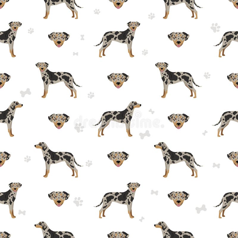 American Leopard Hound All Coat Colors Seamless Pattern Stock Vector ...