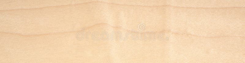 American Maple Glow. Close-up of Wood Surface, Radiating Warmth with ...
