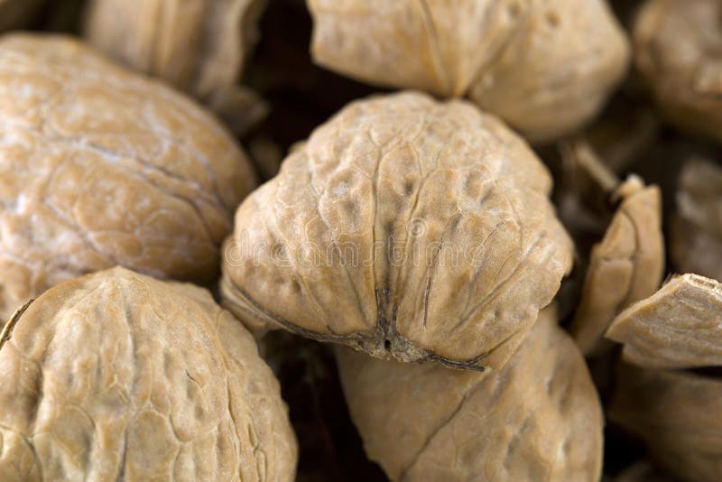 Raw Nuts in Shells in a White Serving Bowl Stock Image - Image of ...