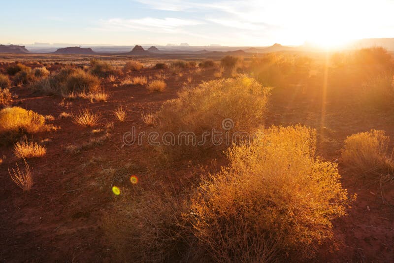 American prairie stock photo. Image of america, natural - 196818802