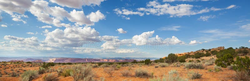 American prairie stock image. Image of natural, park - 239772677