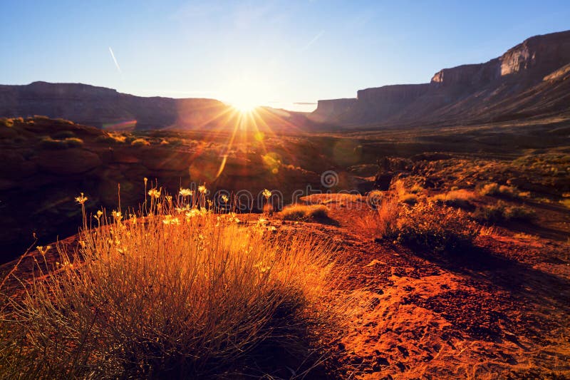 American prairie stock photo. Image of park, energy - 283848232