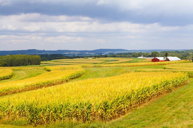 American Red Barn stock photo. Image of corn, building - 33631024