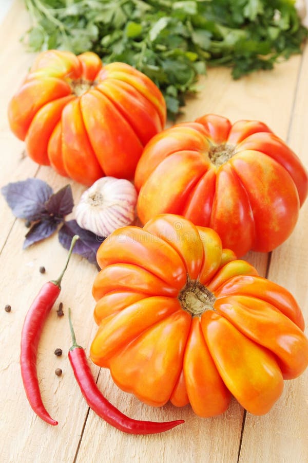 American ribbed tomatoes stock image. Image of garlic - 26086083