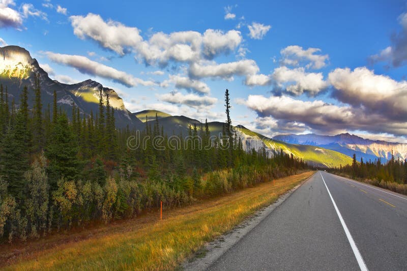 210 Non Native American Stock Photos - Free & Royalty-Free Stock Photos ...