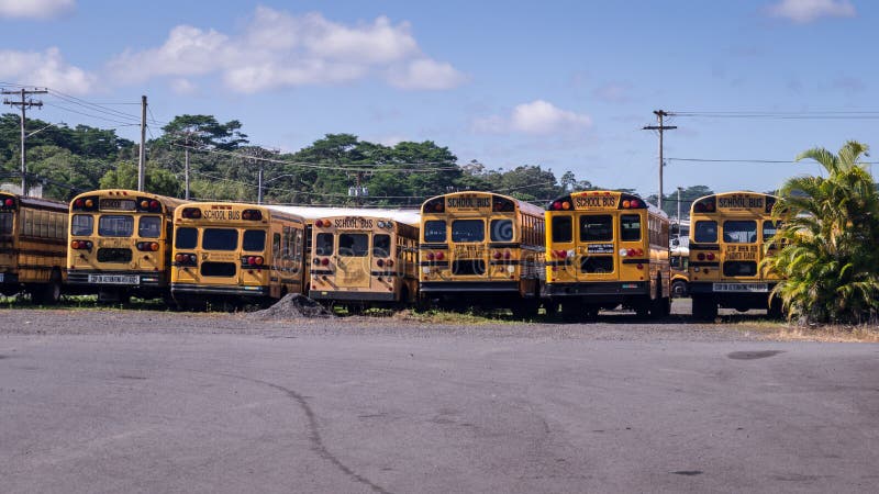 American School Bus Rear View in a Row Editorial Stock Image - Image of ...