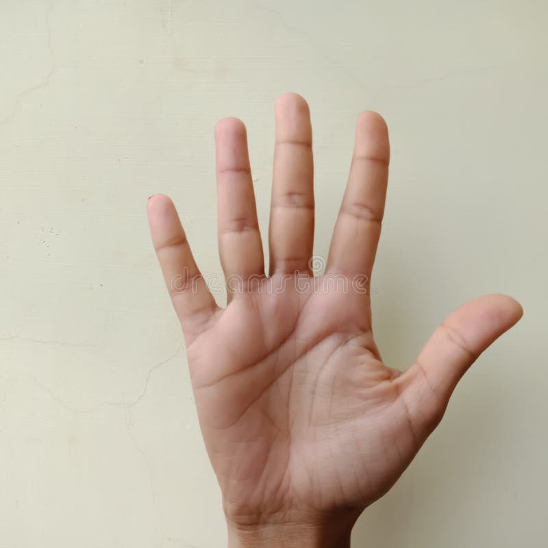 American Sign Language Numerical Digit Five Displayed with Isolated ...