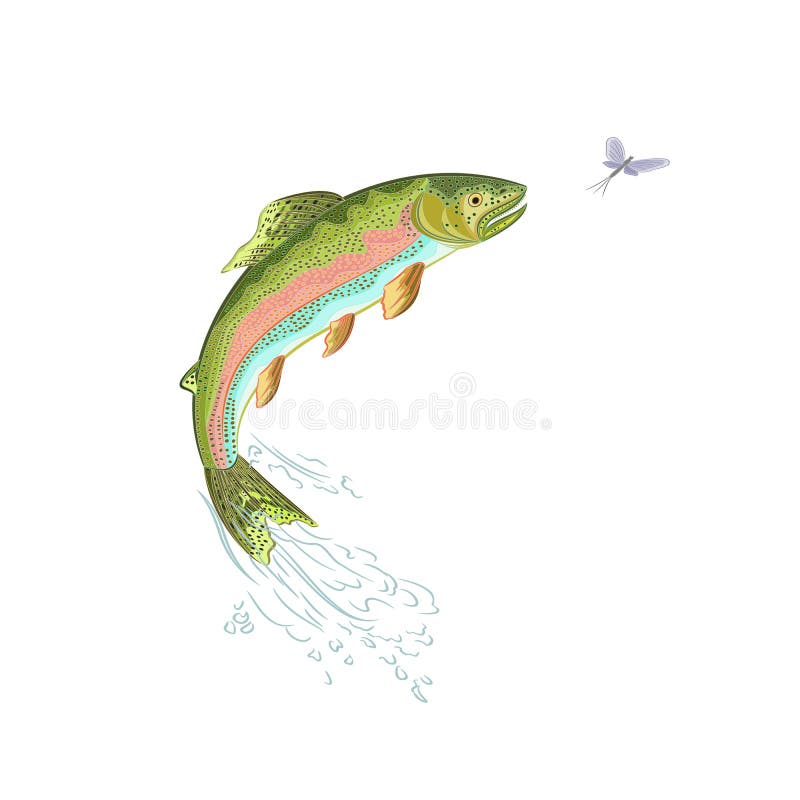 Detailed Fishing Fly stock vector. Illustration of lure - 5742844