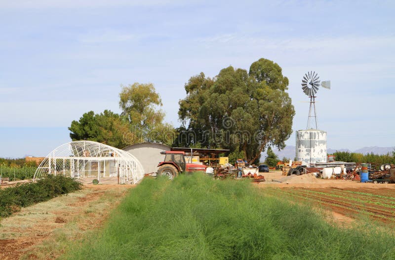 Arizona: Asparagus Farm in a Desert Environment Stock Image - Image of ...