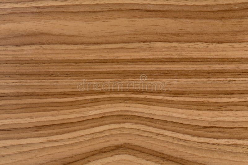 American Walnut Texture with Natural Patterns. Stock Photo - Image of ...