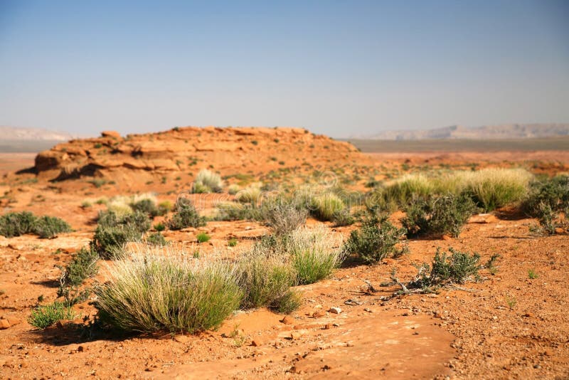 Amerykańska Klasyczna Preria Zdjęcie Stock - Obraz złożonej z preria ...