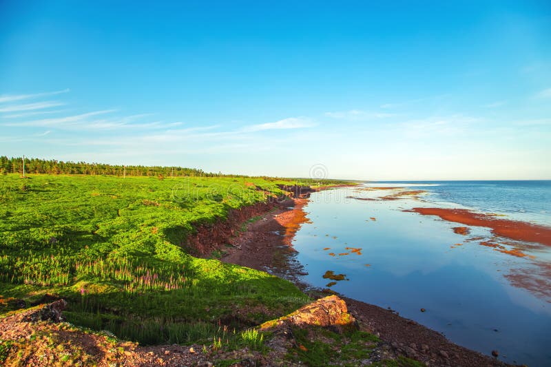 Amethyst Coast of the White Sea at Cape Ship Stock Photo - Image of ...