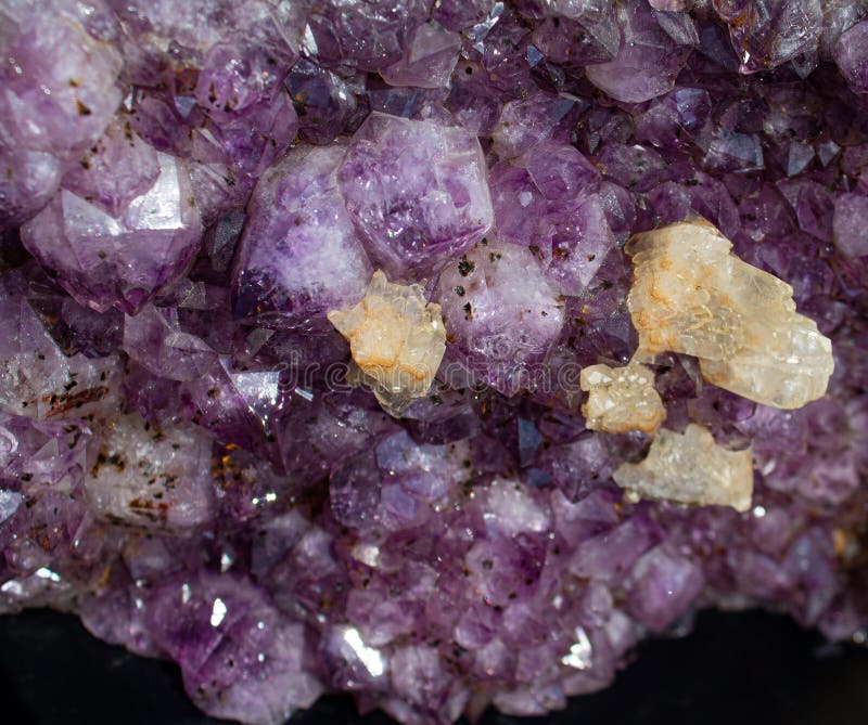 Amethyst Druse in a Incredible Closeup Stock Photo - Image of beautiful ...