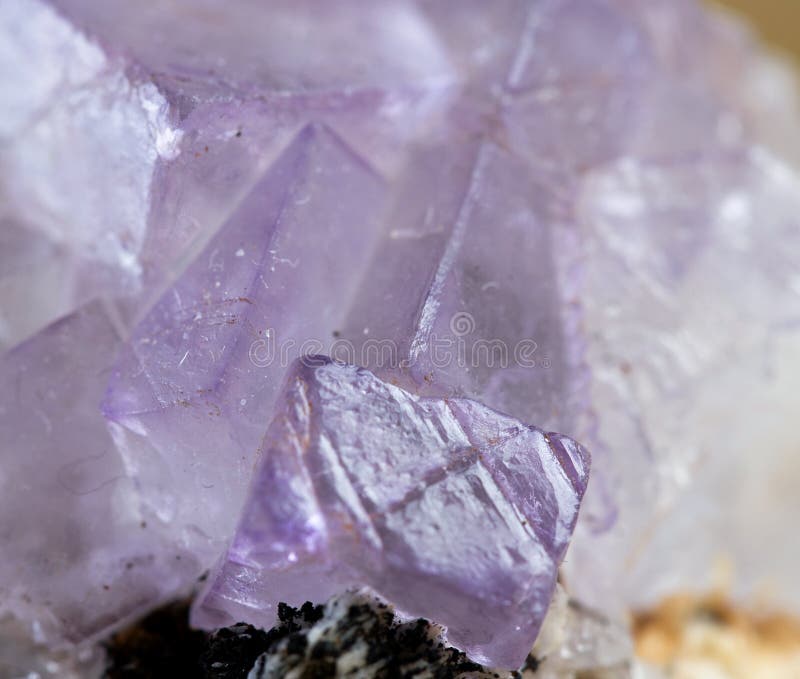.amethyst Mineral Specimen Stone Rock Geology Gem Crystal Stock Image ...
