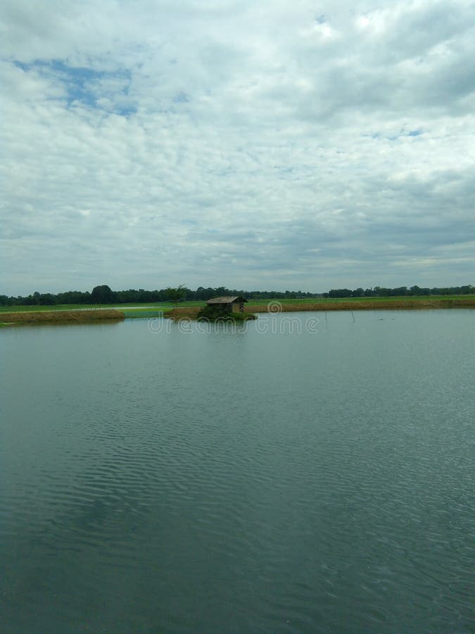 Amezing photo stock photo. Image of thes, place, assam - 123289434