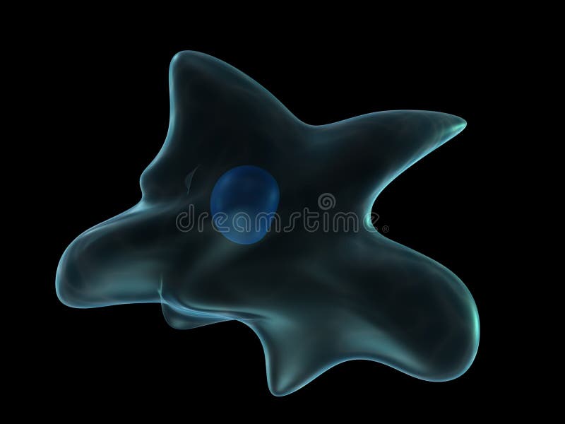 Amibe Stock Illustrations, Vecteurs, & Clipart – (10,501 Stock ...