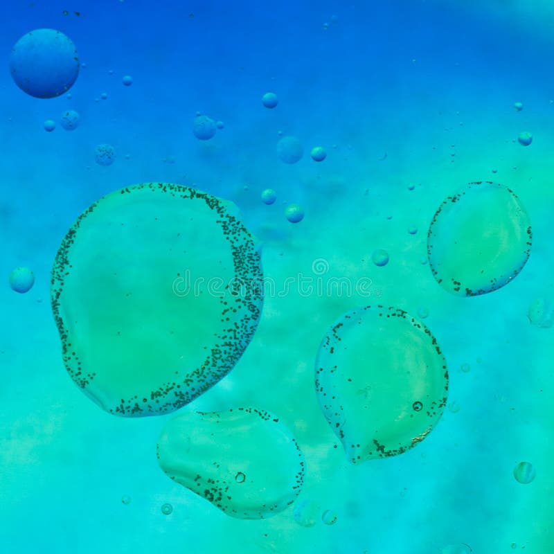 Vue De Microscope D'une Amibe Image stock - Image du éducation, vacuole ...