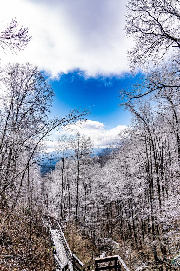 Amicalola Falls State Park Georgia USA Stock Image - Image of trees ...