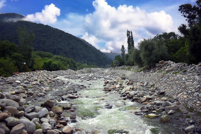 Amidst the Clouds - the Sky, the Mountains, the Valleys, and the Trees ...