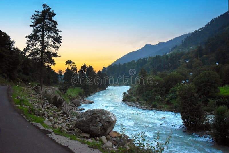 Amidst the Clouds - the Sky, the Mountains, the Valleys, and the Trees ...