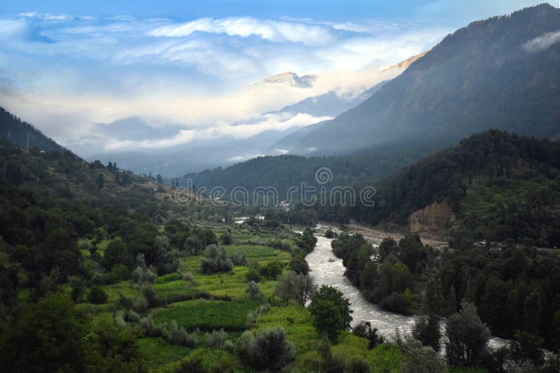 Amidst the Clouds - the Sky, the Mountains, the Valleys, and the Trees ...