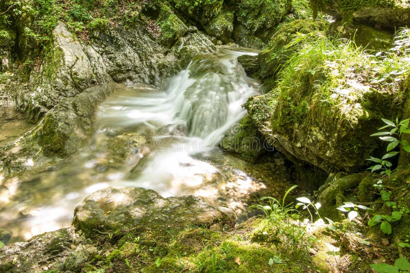 Small Creek with Many Waterfalls in the Middle of Forest Stock Photo ...