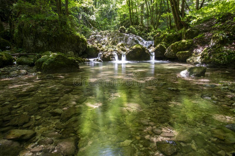 Small Creek with Many Waterfalls in the Middle of Forest Stock Photo ...