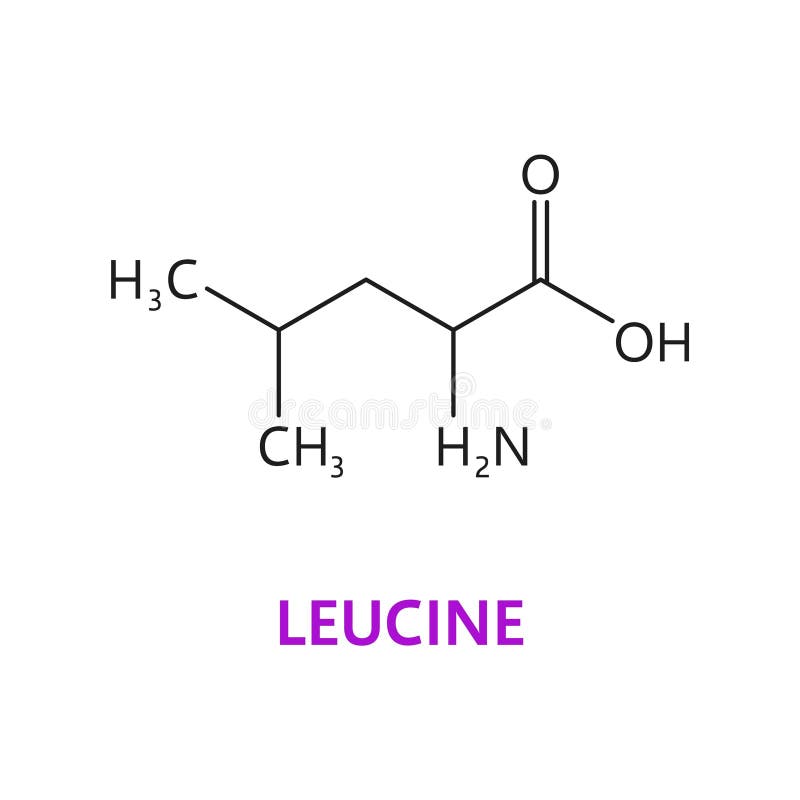 Amino Acid Chemical Molecule of Leucine in Formula Stock Illustration ... Amino Acid Chemical Molecule of Leucine in Formula Stock Illustration ...