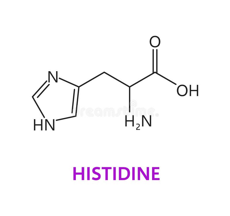 Amino Acid Molecule, Histidine Molecular Formula Stock Vector ...