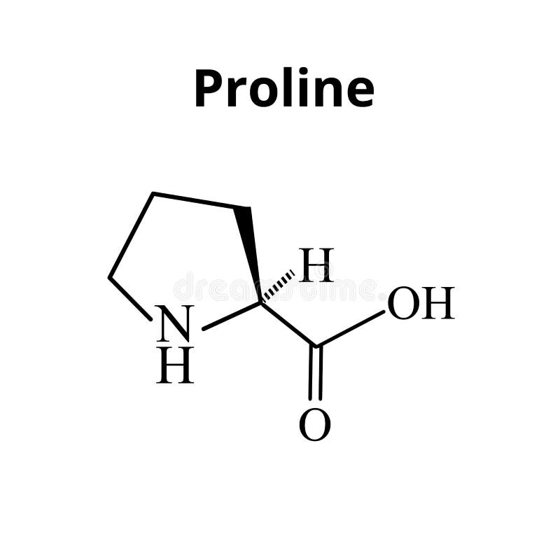 Amino Acid Proline. Chemical Molecular Formula Proline Amino Acid Stock ...