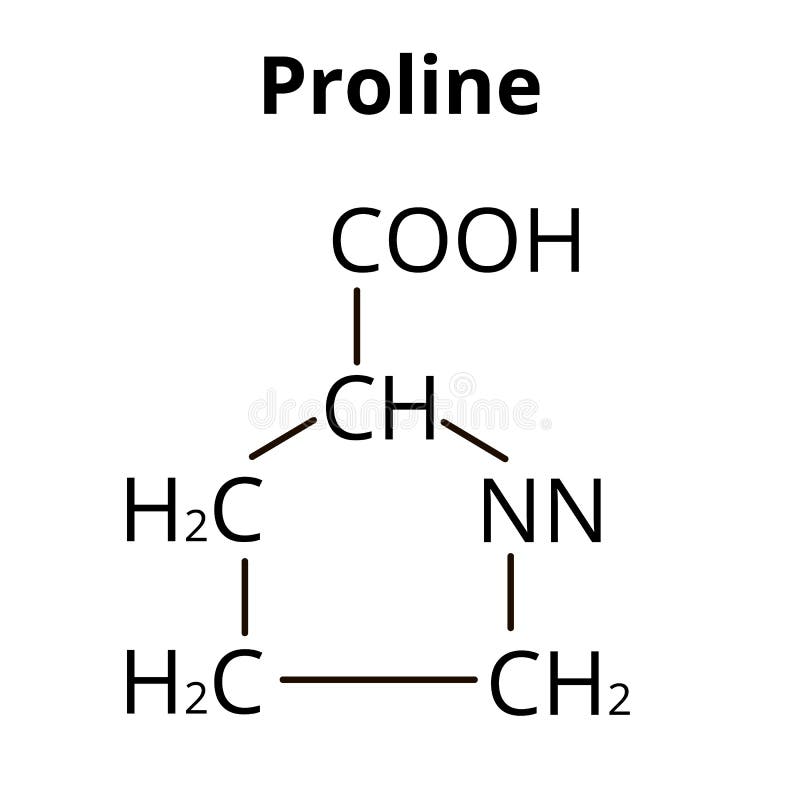 Amino Acid Proline. Chemical Molecular Formula Proline Amino Acid Stock ...