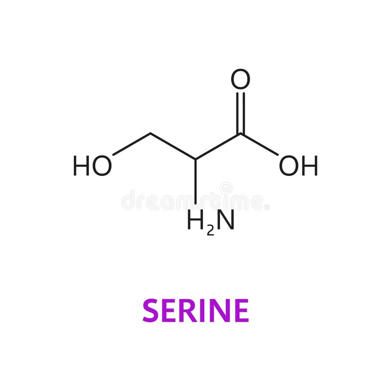 Amino Acid, Serine, Chemical Molecule Structure Stock Illustration ...