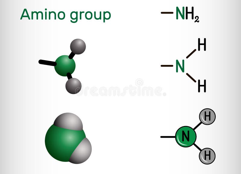 Amino Group, (primary, -NH2). it is Functional Group Comprised of a ...