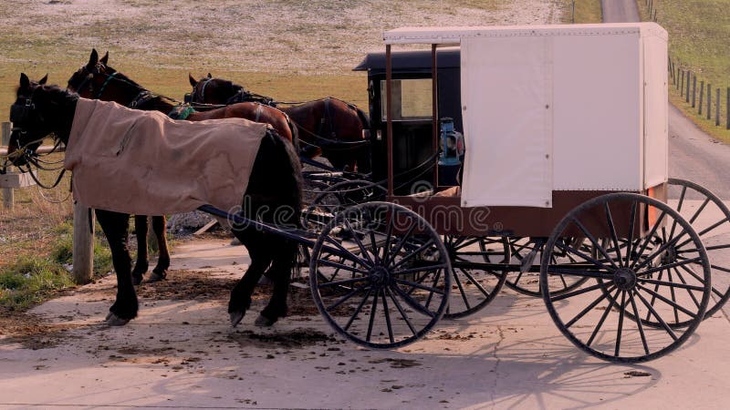 Amish Buggy stock image. Image of amish, buggy, market - 29695953