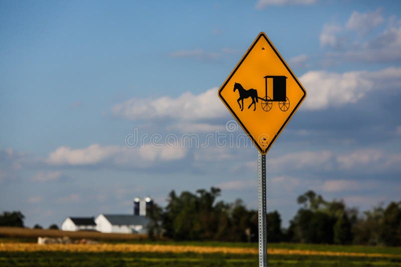 Amish working stock photo. Image of plowing, field, seed - 43438936