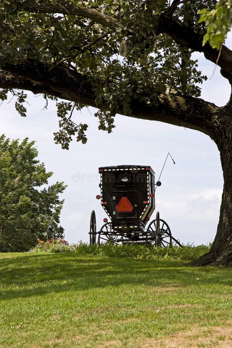 937 Carriage Living Stock Photos - Free & Royalty-Free Stock Photos ...