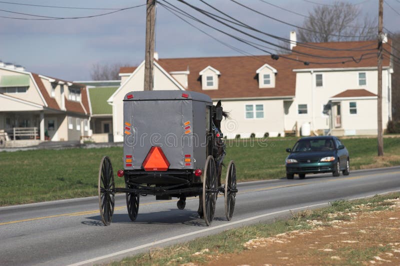 Amish cart stock photo. Image of color, travel, farm - 13364156
