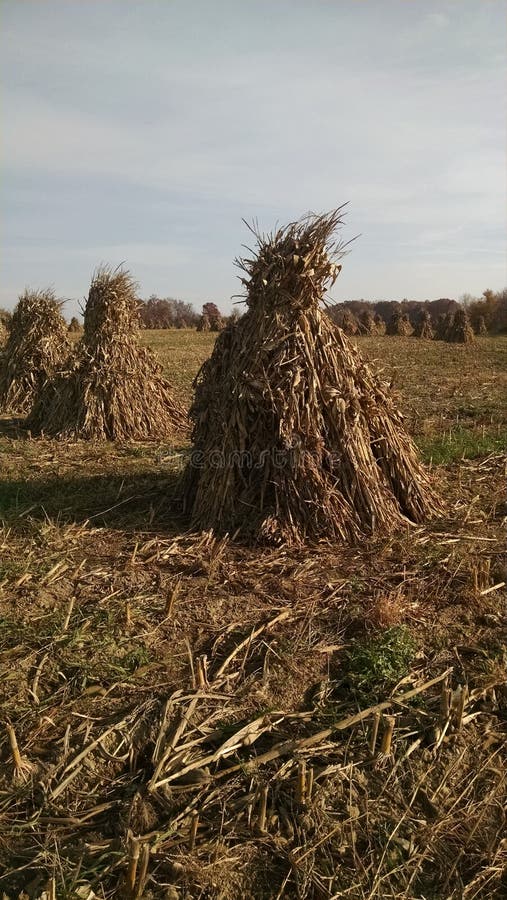 Amish Corn Stack, Haystack, Harvest Stock Image - Image of cornstack ...