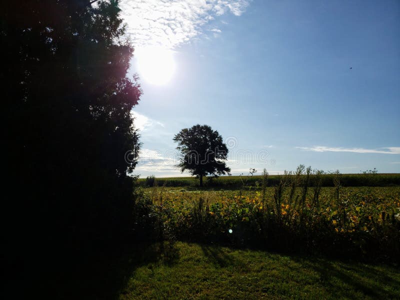Amish Countryside Pretty Evening Sunset Stock Photo - Image of pretty ...