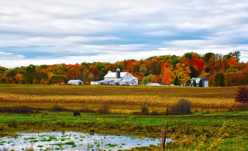 325 Amish Fall Autumn Stock Photos - Free & Royalty-Free Stock Photos ...
