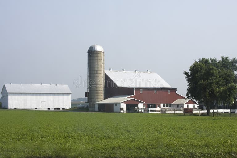 Amish Farm on a Hazy Morning Stock Photo - Image of farm, horizontal ...
