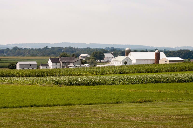 Amish Farm on Sunny Day 3 stock photo. Image of cape - 109951766