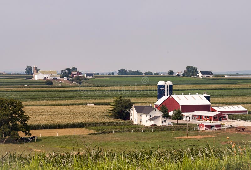 Amish Farm Landscape on a Sunny Day Stock Image - Image of crop ...