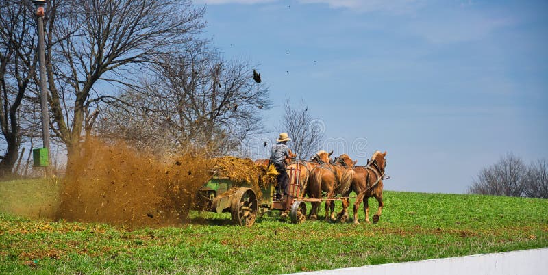 Amish Farmer Fertilizing the Farm Stock Image - Image of field, family ...